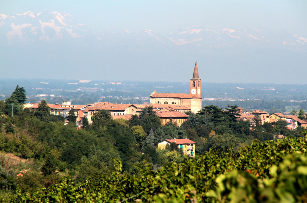 Wine Cellars in Casteggio